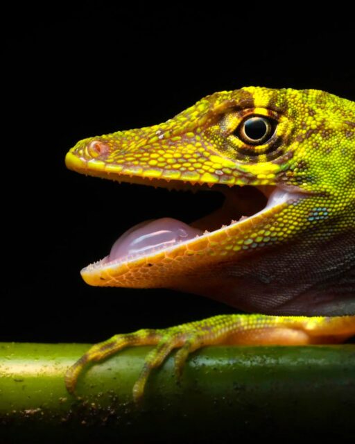 Fully Customizing The Sony a7R V Mirrorless Camera – Colby Brown Photography