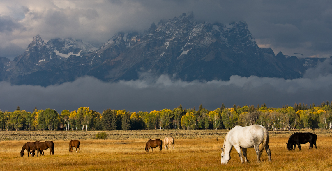 Wild Mountains – Colby Brown Photography
