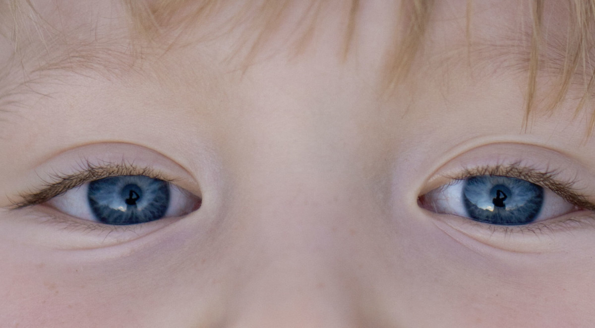 Gear Review: Sony a7rII 42mp Mirrorless Camera