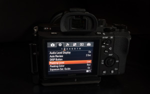 15 Tips for Getting The Most Out of Your Sony a7rii