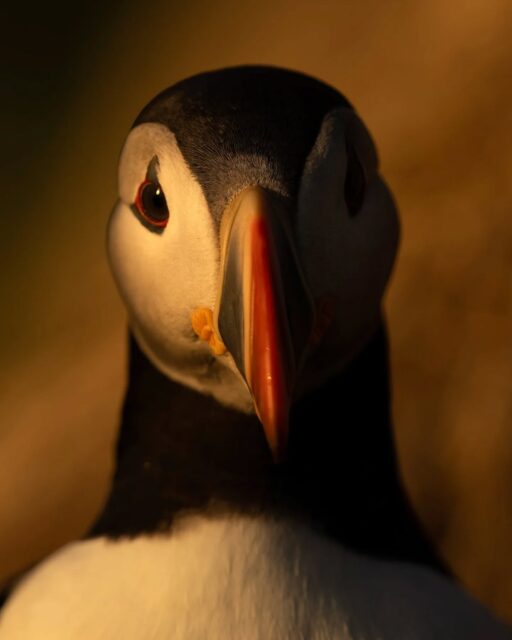 Fully Customizing The Sony a7R V Mirrorless Camera – Colby Brown Photography