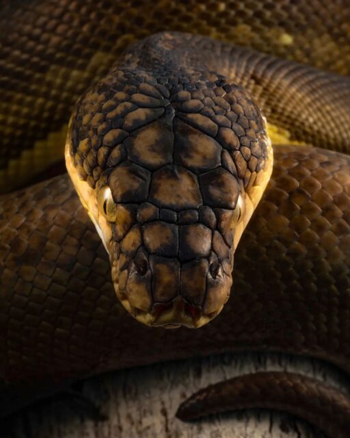 Colby Brown Photography – Photography Workshops & Online Education