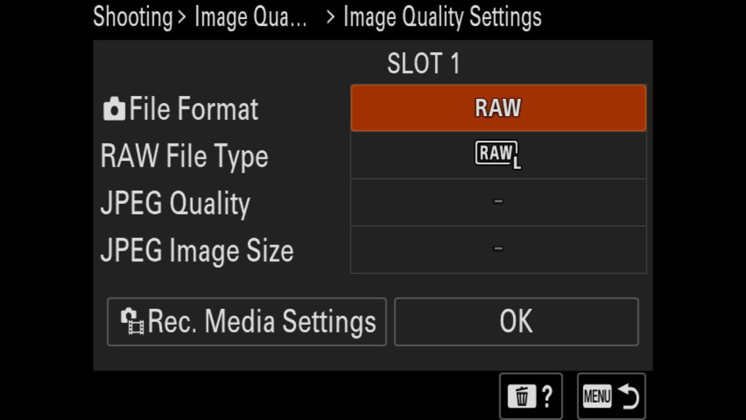 The Complete Setup Guide for the Sony a1 – Colby Brown Photography