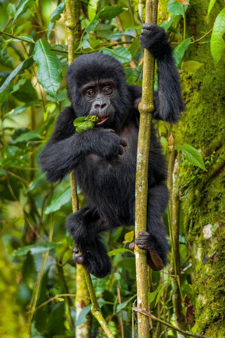 Photography Workshops – Colby Brown Photography