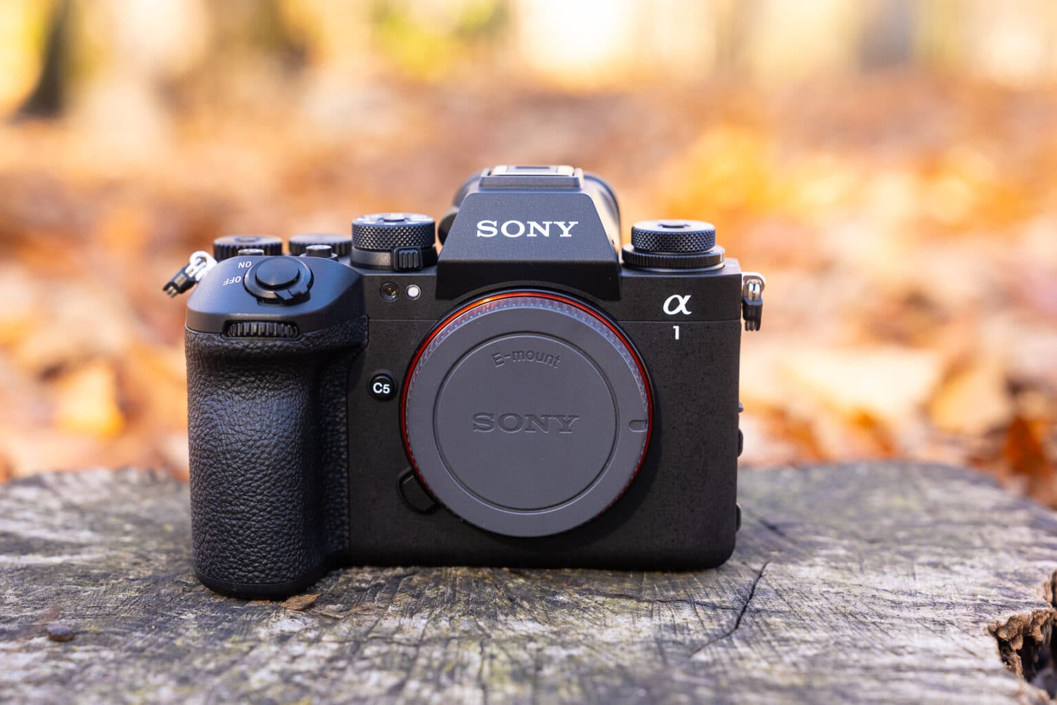 Customizing Your Sony a1 II Mirrorless Camera – Colby Brown Photography