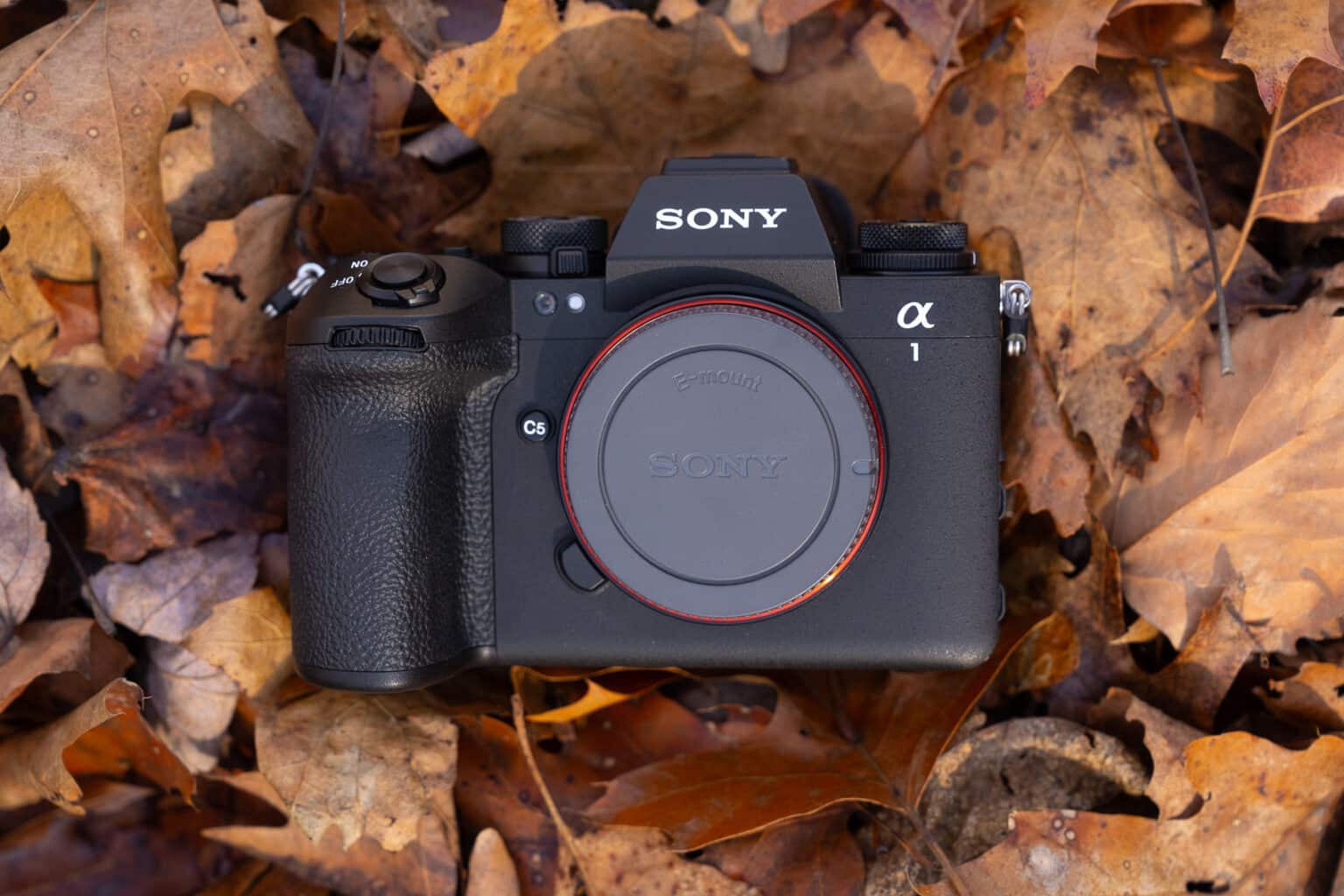 The Complete Setup Guide to the Sony a1 II – Colby Brown Photography