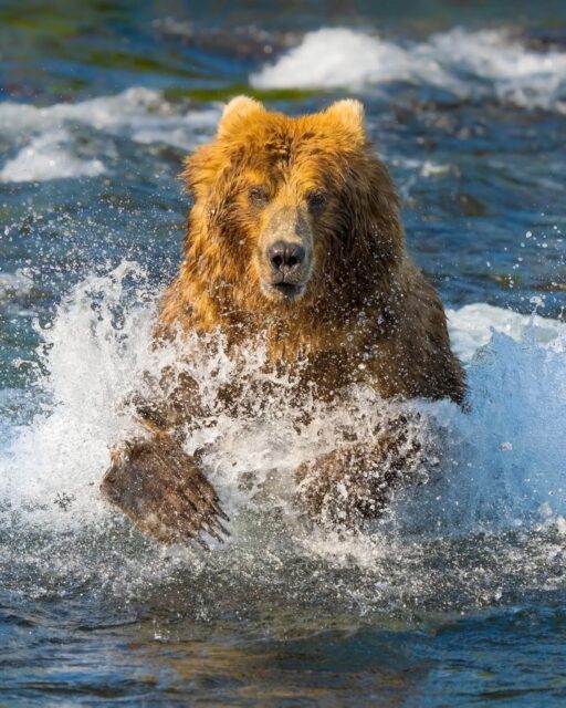 Fully Customizing The Sony a7R V Mirrorless Camera – Colby Brown Photography